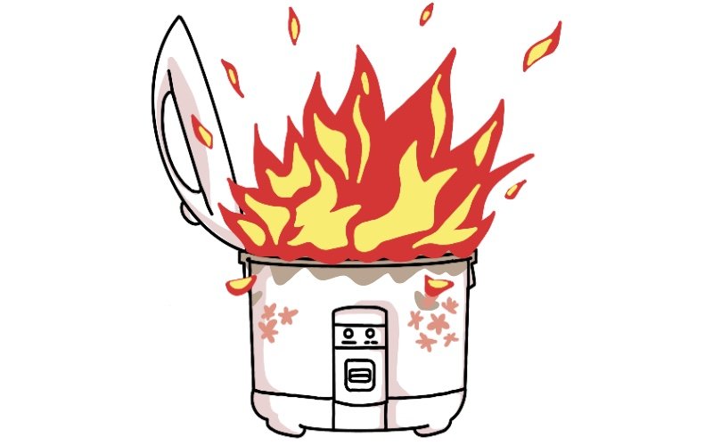 Can a rice cooker catch fire or explode? (What we recommend) – Family ...