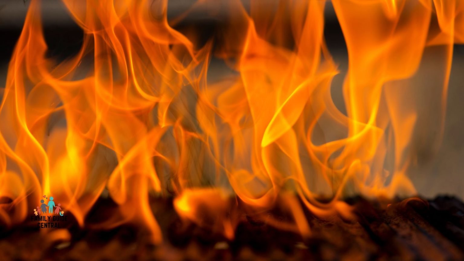 How Does a Traeger Ignite? (10 Steps to Start the Fire) – Family Guide ...